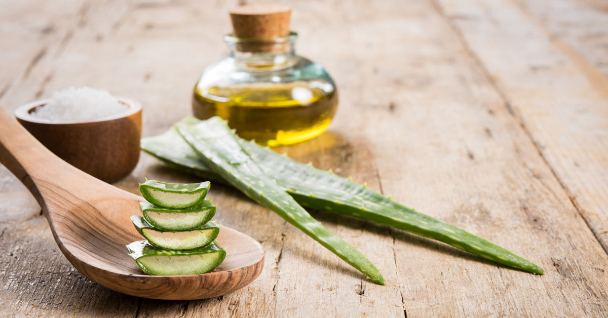 So vielseitig ist die Aloe Vera Pflanze - silberherzen.de So vielseitig ist die Aloe Vera Pflanze - silberherzen.de
